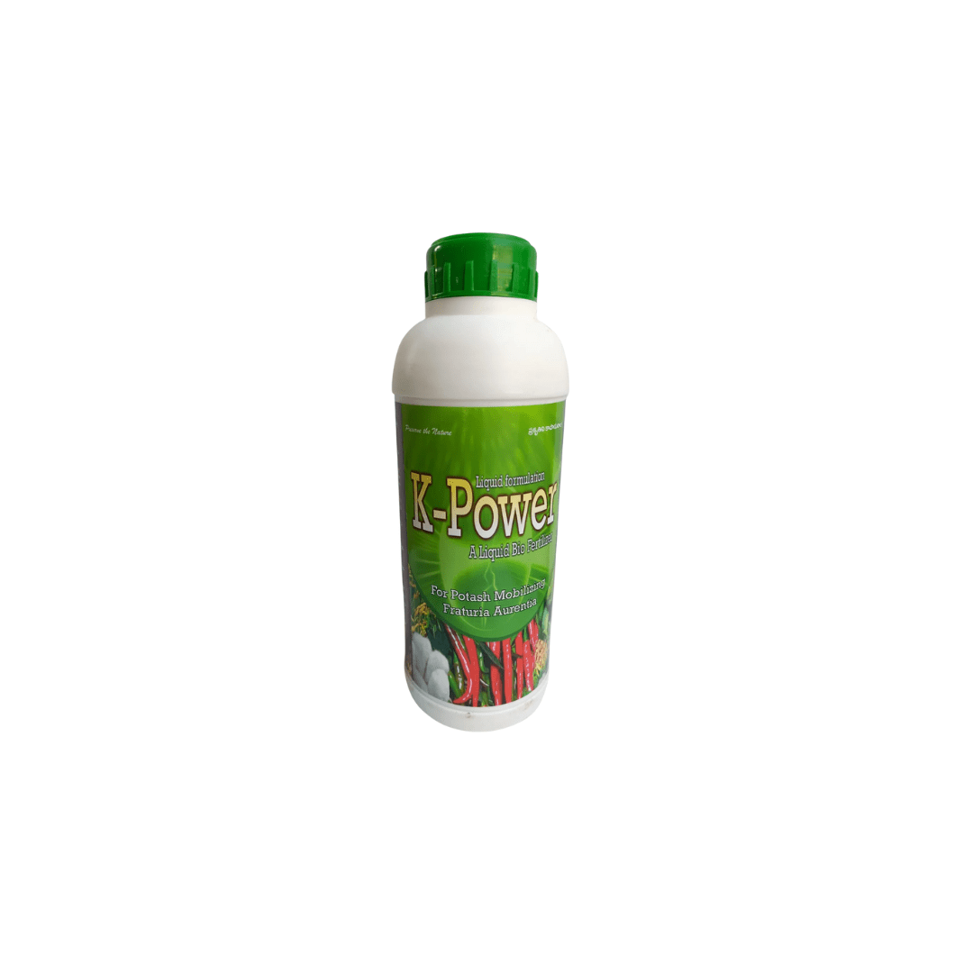 K-Power: Potash Mobilizing Bacteria for Healthier Crops – Khethari