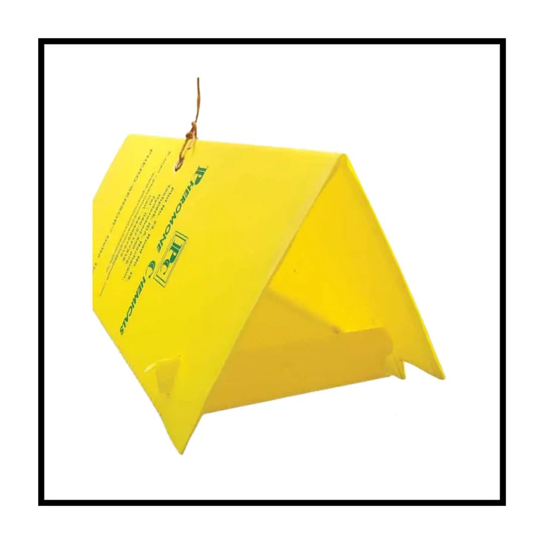 Delta Traps (Pack of 10) – Khethari