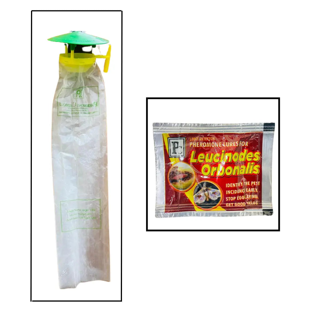 Pheromone traps and Leucinodes orbonalis Lures (Pack of 10) – Khethari