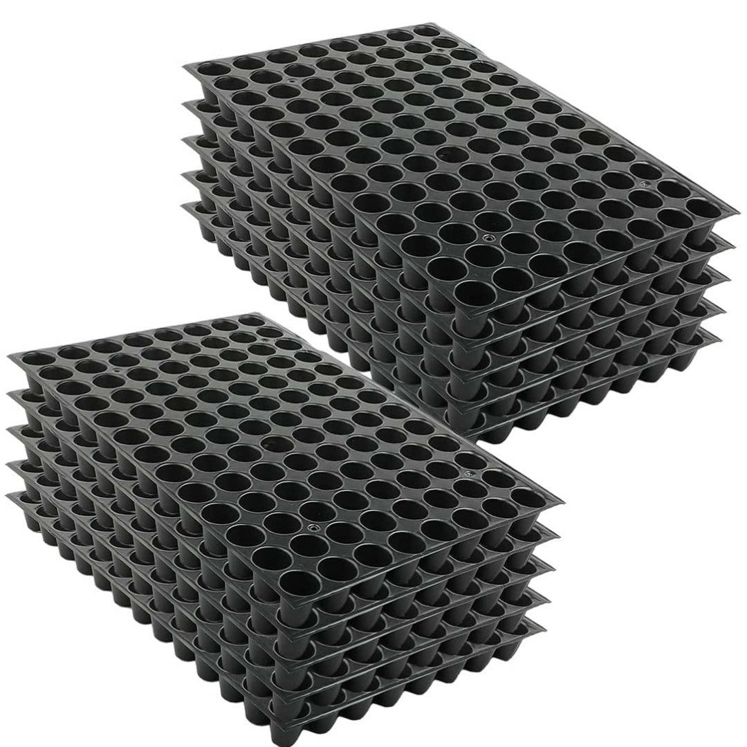 PRO TRAYES 98 CAVITIES - 800 MICRONS - [ PACK OF 5 ] – Khethari